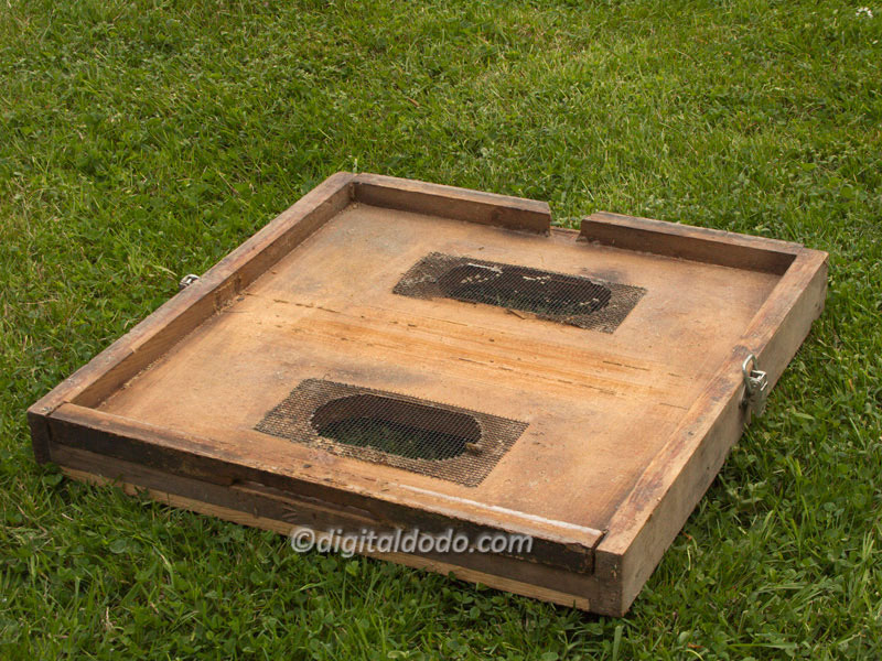 Queen Rearing in a Single Hive - Beekeeping in the Surrey Hills